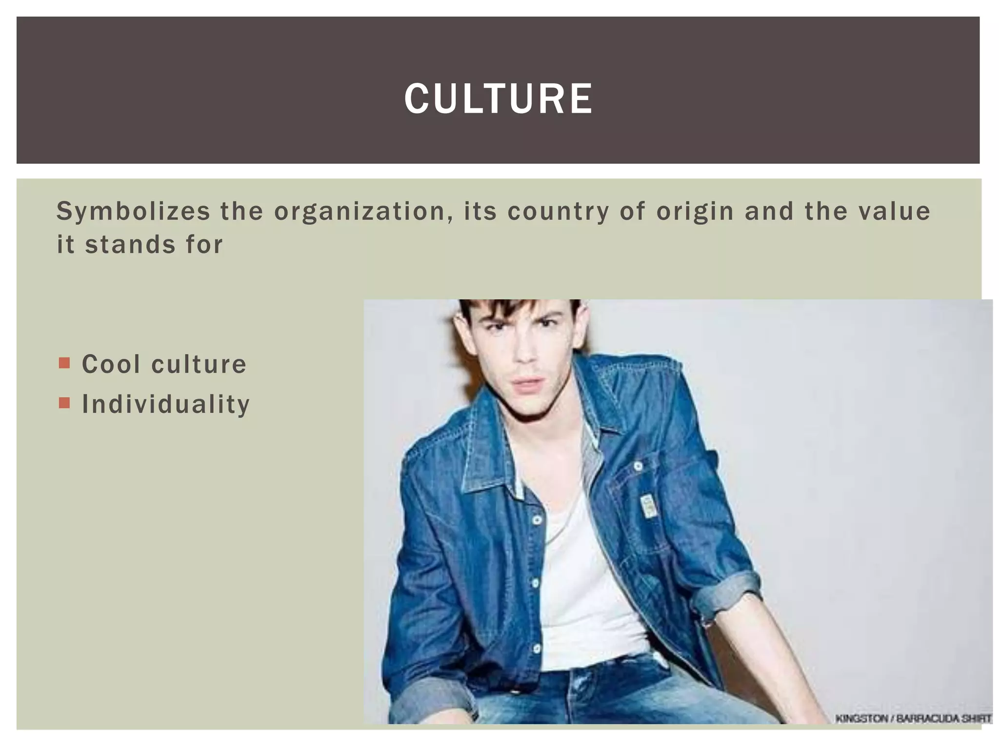 Brand identity prism pepe | PPTX