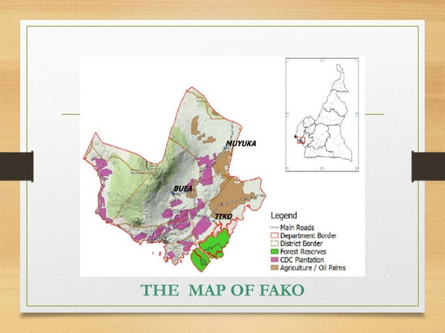 Branding Fako: Lodging & Accomodation | PPT