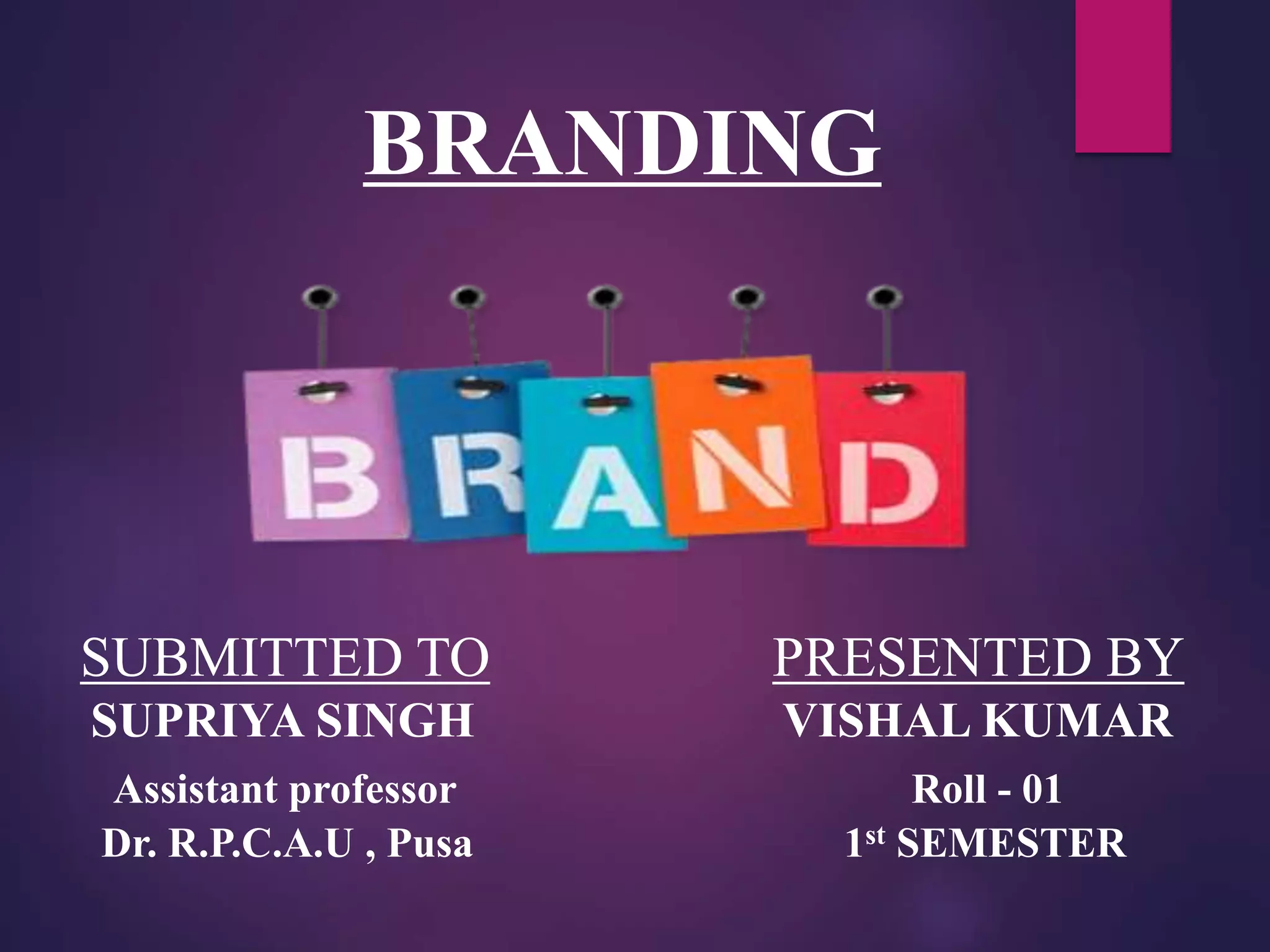 Branding ppt | PPTX