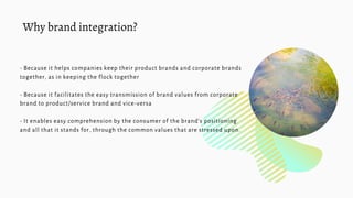 Brand integration | PDF