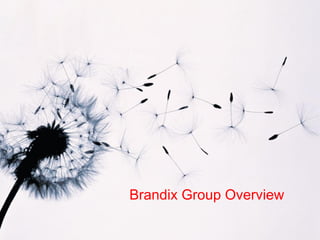 Brandix Shared Services Journey | PDF