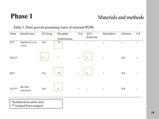 Brandon - 16032023_PPT_M11122064_Brandon.pptx