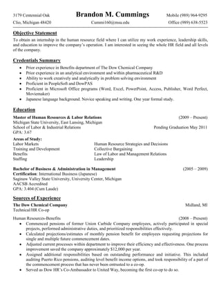 Brandon Cummings Detailed Resume 2010