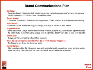 Ideal Brand Plan Format | PDF
