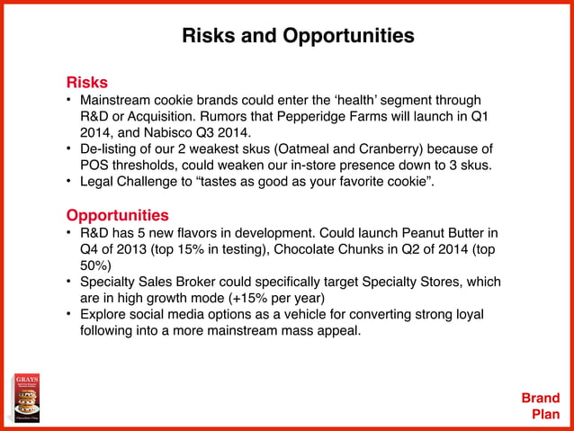 Ideal Brand Plan Format | PDF | Marketing and Advertising | Business