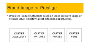 Brand Portfolio Management PPT.pptx
