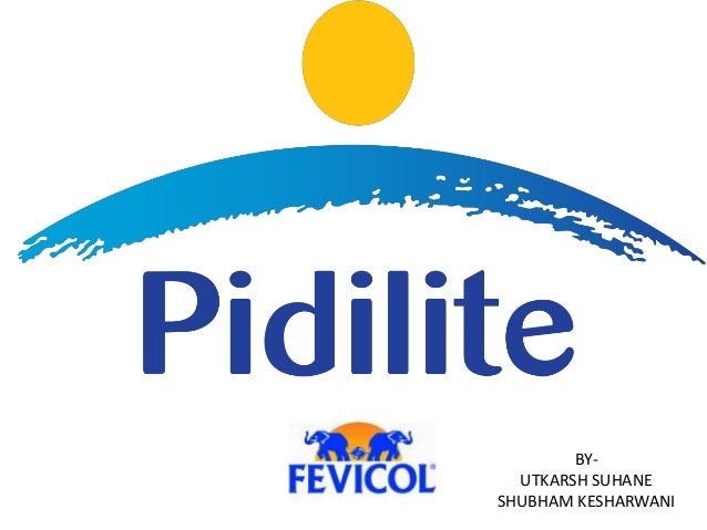 fevicol easy pidilite Brand presentation