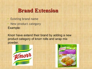 Brand Extension Examples