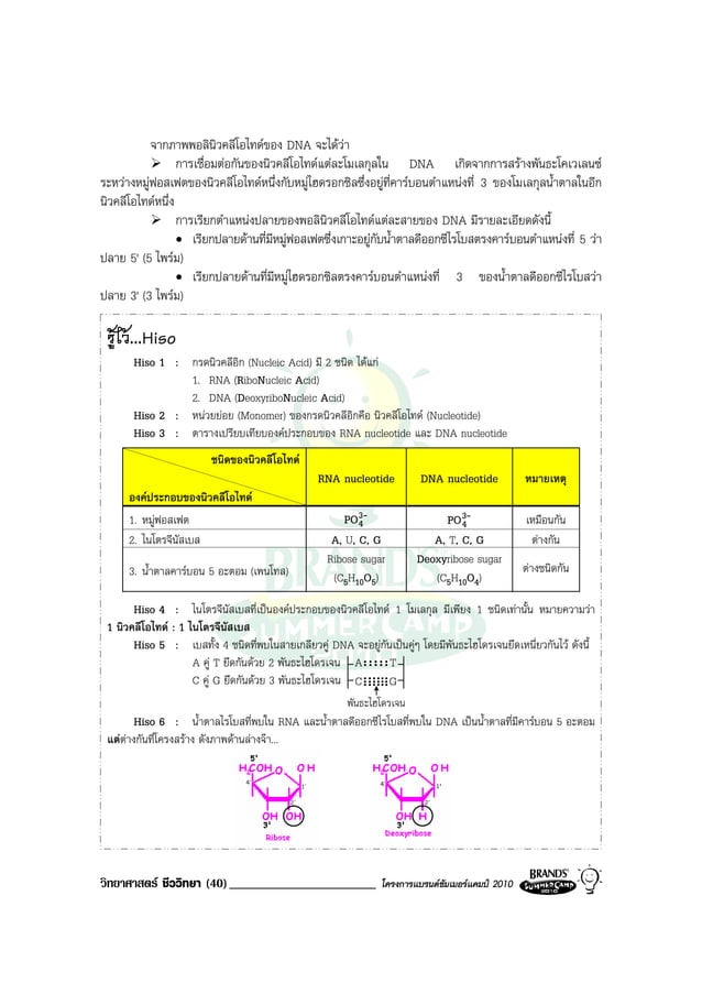 Brands biology | PDF