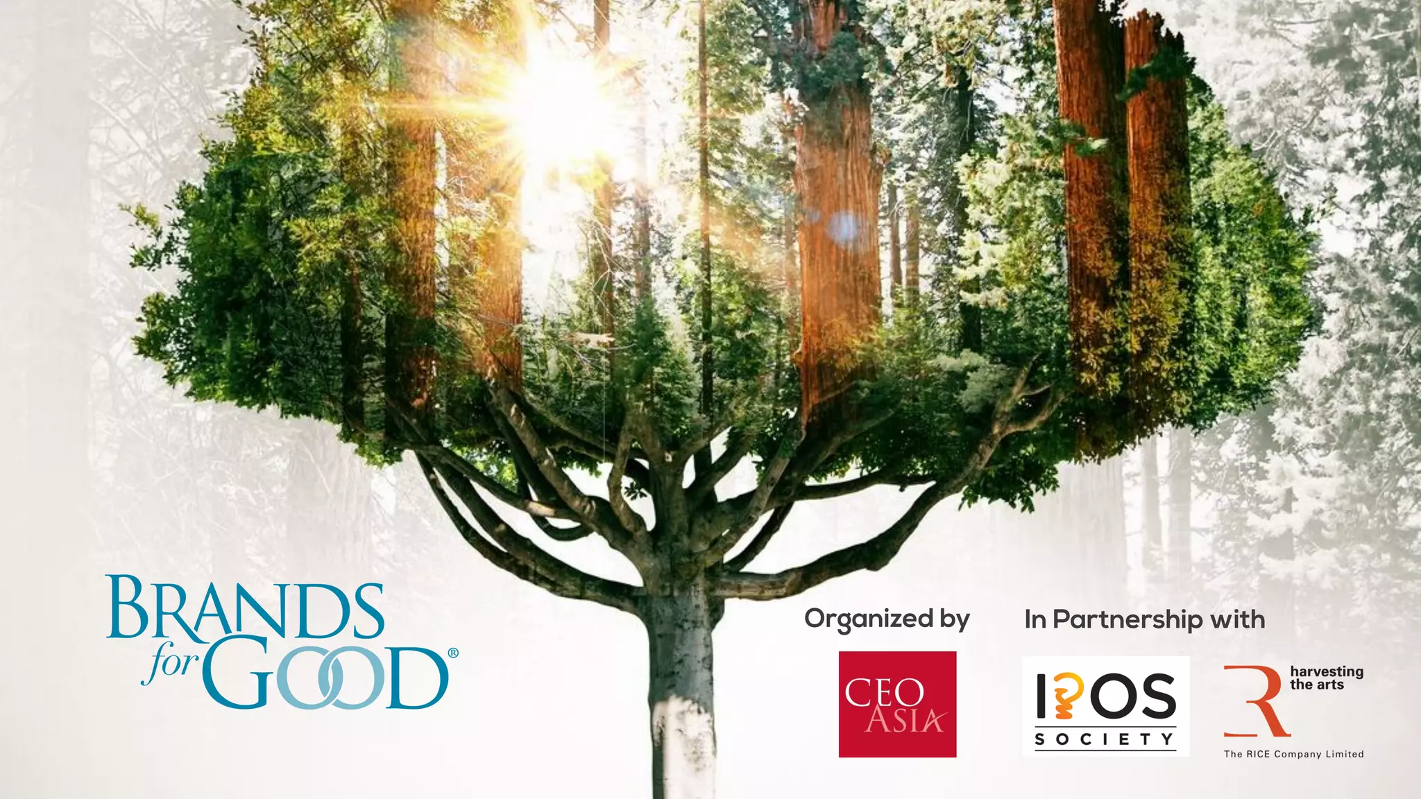 Brands for good Introduction | PPT