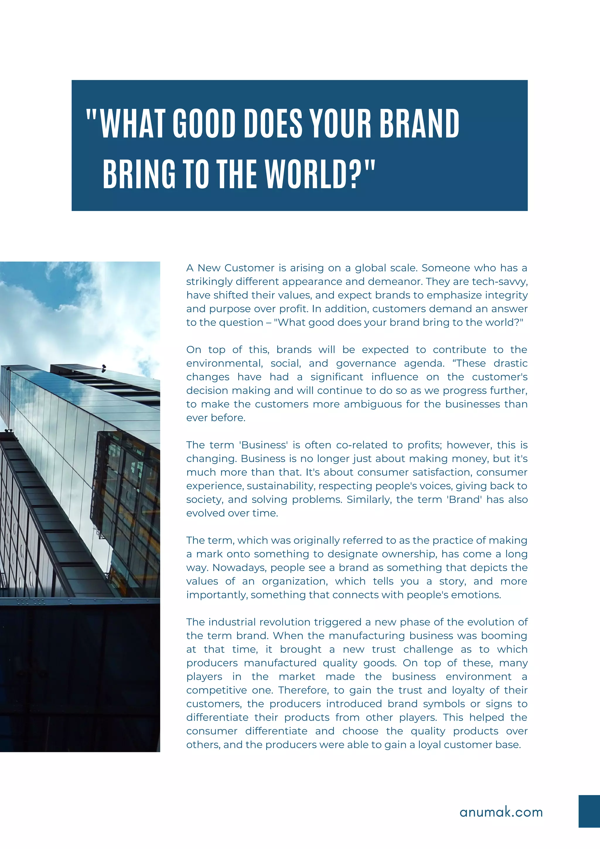 Brand Strategy | PDF