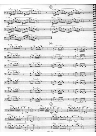 Branimir slokar flexibilidad | PDF