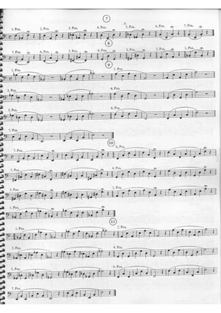 Branimir slokar flexibilidad | PDF