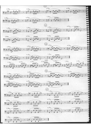 Branimir slokar flexibilidad | PDF