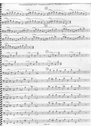 Branimir slokar flexibilidad | PDF