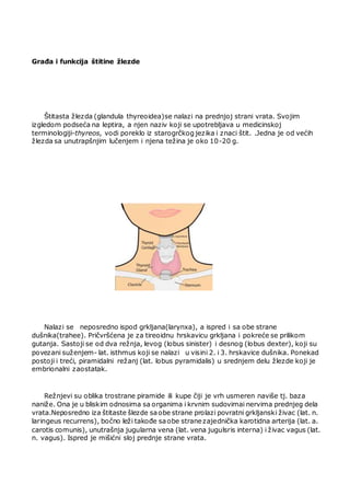 Hormoni štitne žlezde | DOCX