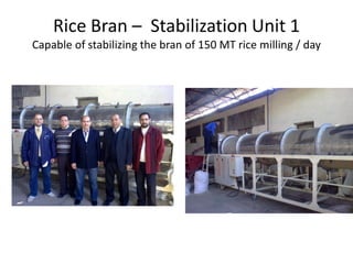 Bran rice vs white rice | PDF