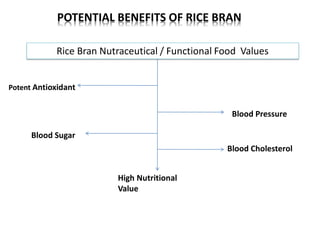 Bran rice vs white rice | PDF