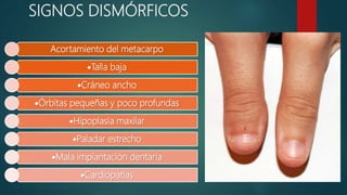BRAQUIDACTILIA.pptx