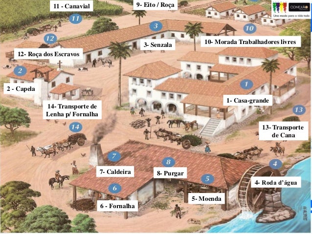 Brasil Colônia Módulo I