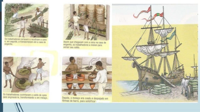 Brasil colonial sociedade açucareira