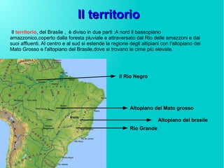 powerpoint brasile | PDF