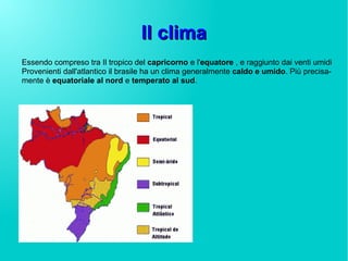 powerpoint brasile | PDF