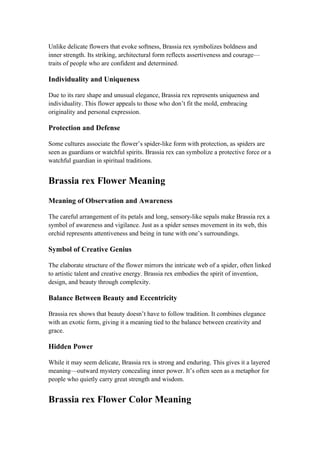 Brassia rex Symbolism and Meaning in Love, Death & Bible.docx