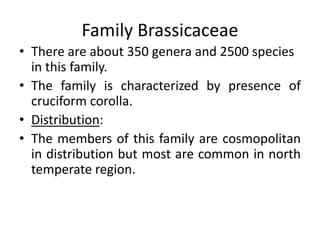 Brassicaceae | PPTX