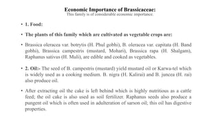 Brassicaceae | PPTX