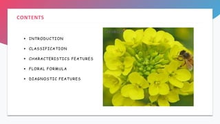 Brassicaceae family (BRASSICACEAE) | PPTX