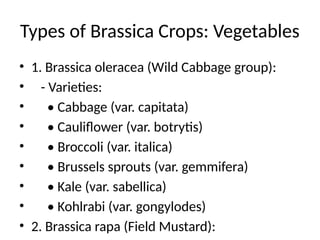 Brassica_Presentationjnfjdcdcdbcdcd.pptx