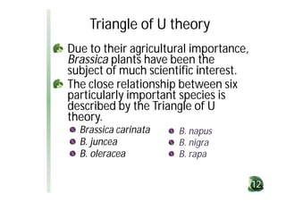 Brassica print | PDF