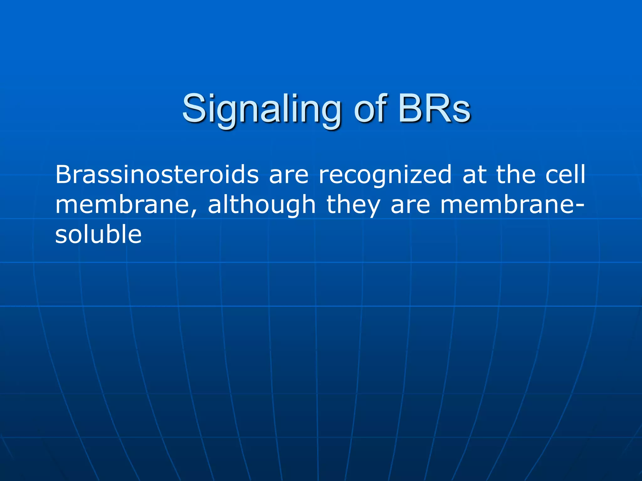 Brassinosteroids | PPTX