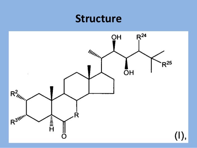 Brassinosteroids ppt