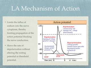 Braun local anesthetic ppt | PPT