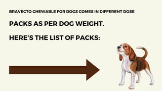 Bravecto Flea and Tick Treatment For Dogs - CanadaVetExpress | PPT