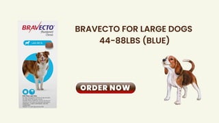 Bravecto Flea and Tick Treatment For Dogs - CanadaVetExpress | PDF