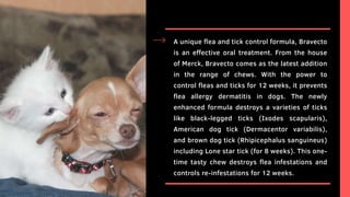 Bravecto for dogs | PPTX