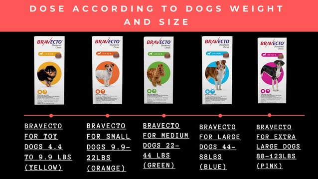Bravecto for dogs | PPT