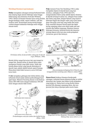 Geomorfologi Karst | PDF