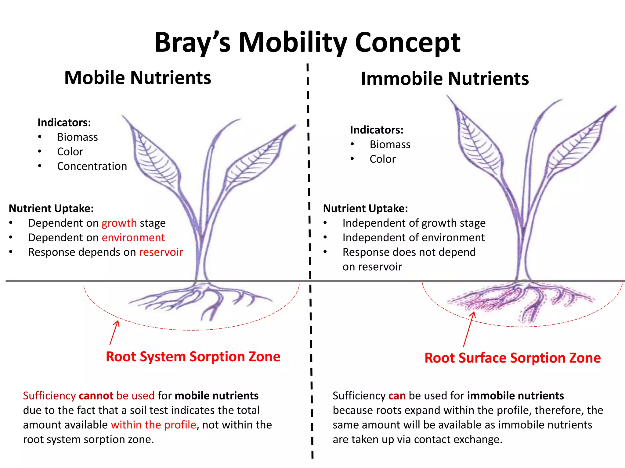 Brays nutrient mobility concept-DEVA ANIL.ppt
