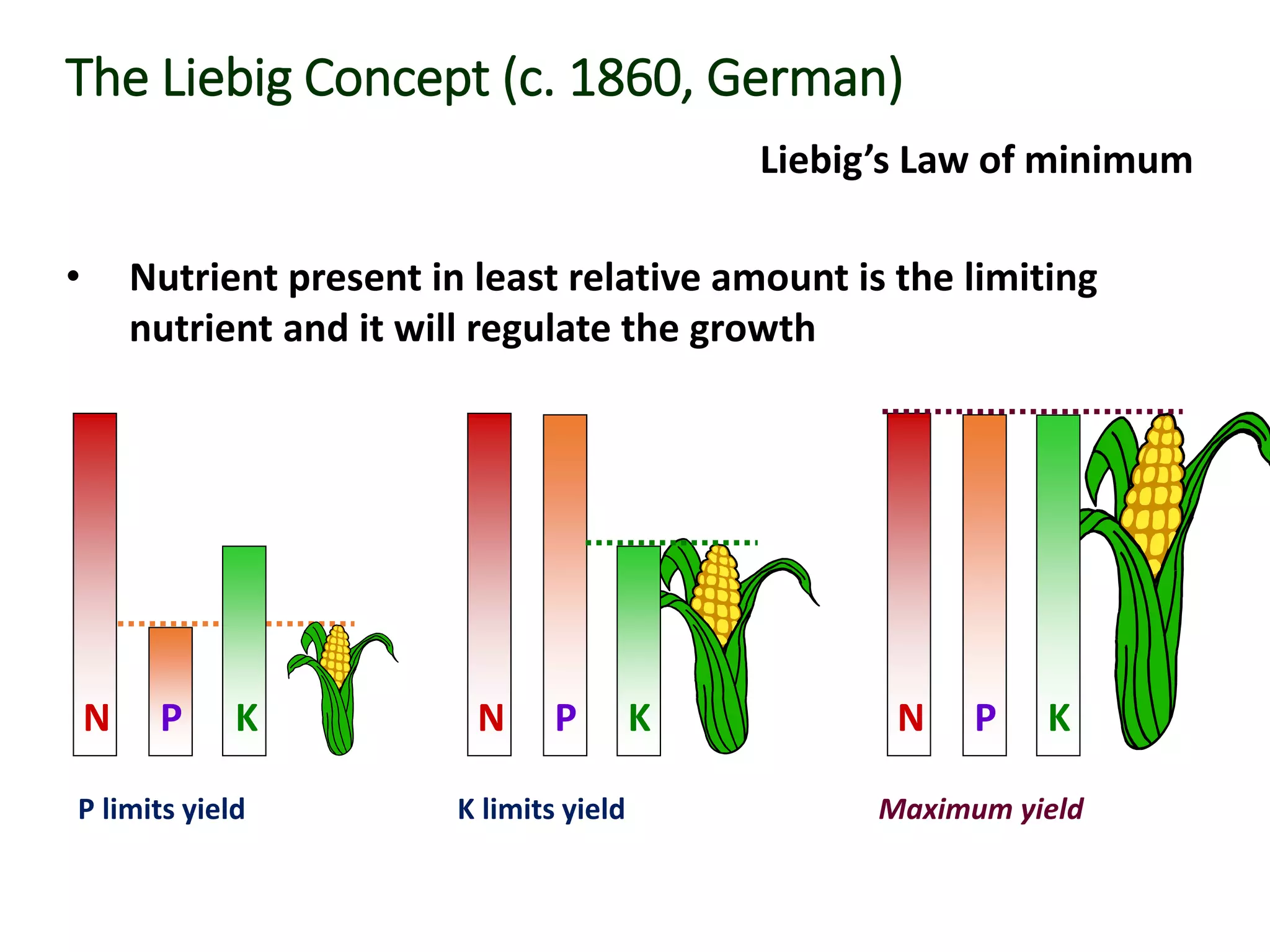 Brays nutrient mobility concept-DEVA ANIL.ppt
