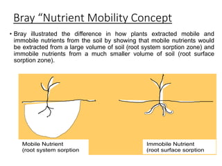 Brays nutrient mobility concept-DEVA ANIL.ppt