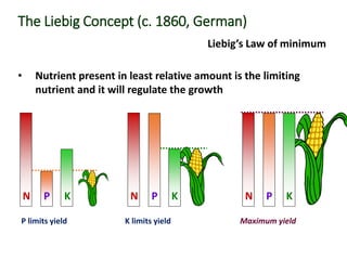 Brays nutrient mobility concept-DEVA ANIL.ppt