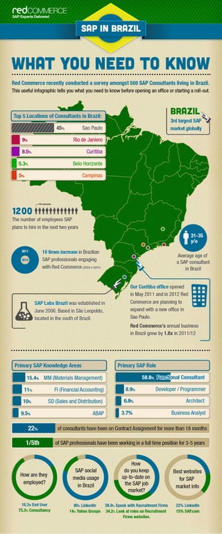 SAP in Brazil Infographic | PDF