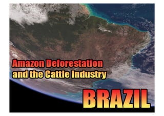 The Amazon Basin - a Contested Landscape | PPT