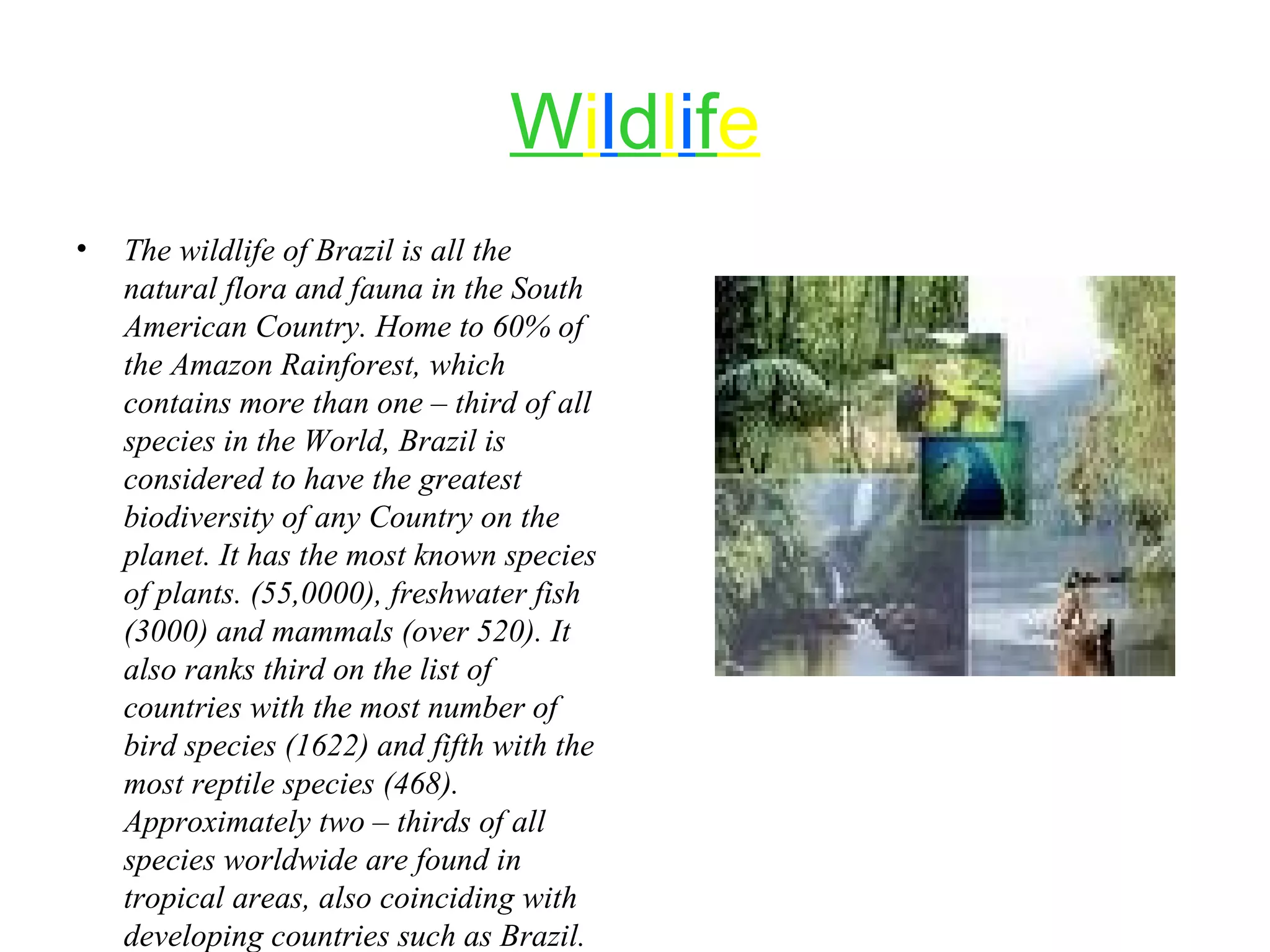 Brazil By Jenna And Stuart | PPT