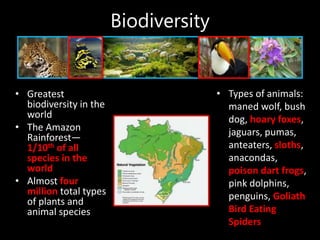 brazil_geography.pptx