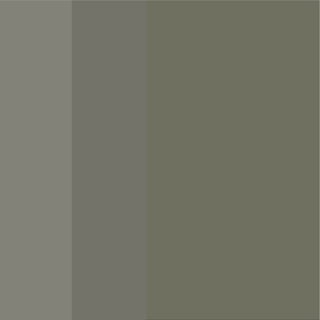 Brazil Highlights | PPT